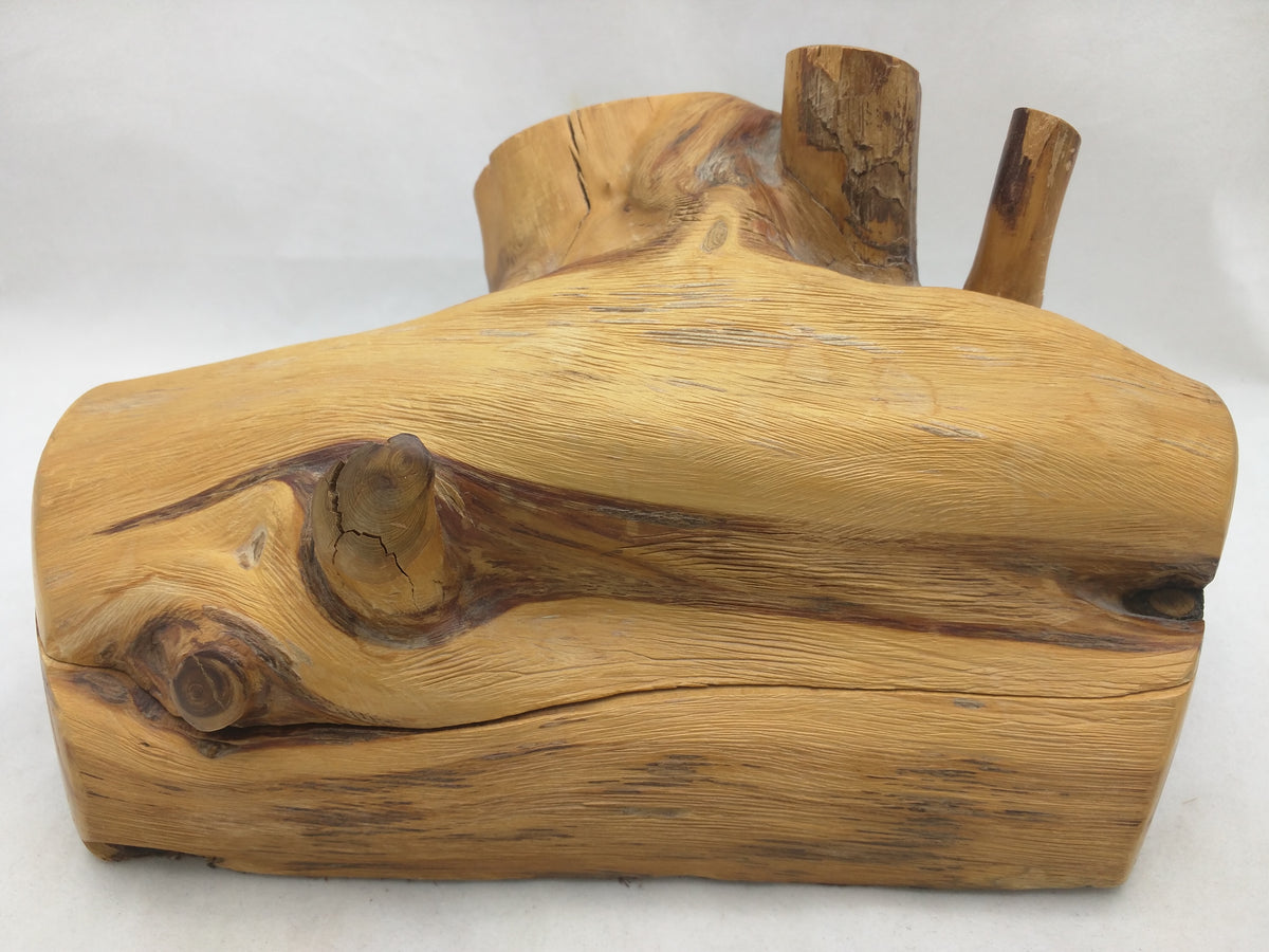 RB Tree Branch Box Handmade Wooden Wood Nature Natural Hidden Compartm ...